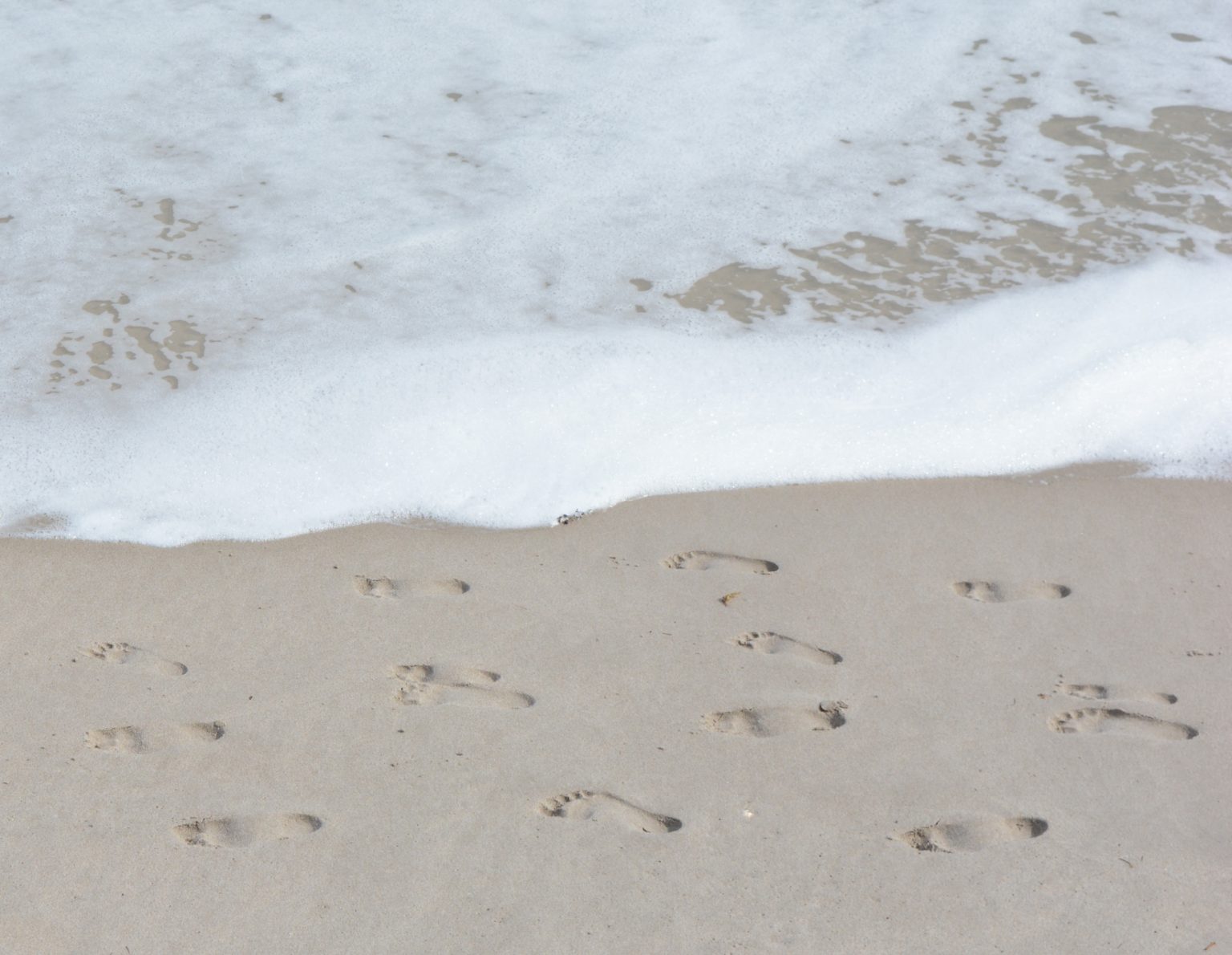 The Relevance of Footprints Left Behind | Learning Curve Consultants
